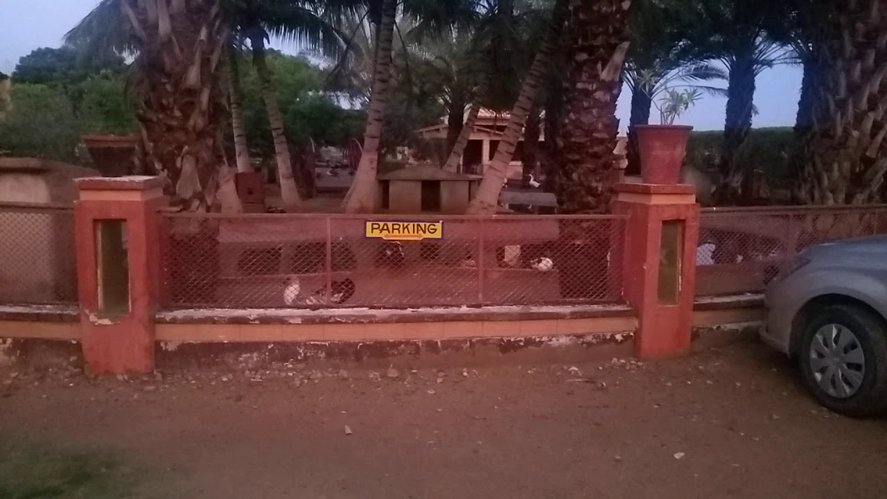 Rani Empire Farmhouse Karachi - YouTube