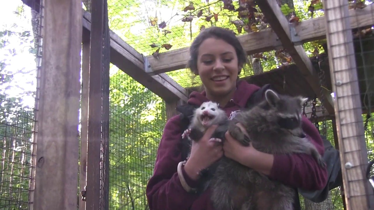 Redneck Snow White (A short Verite Documentary) - YouTube
