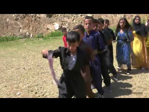 Halay basında ki çocuk efsane oynuyor  (2022) Kurdish dance #kurdish  #sofiömer #kürtçemüzik
