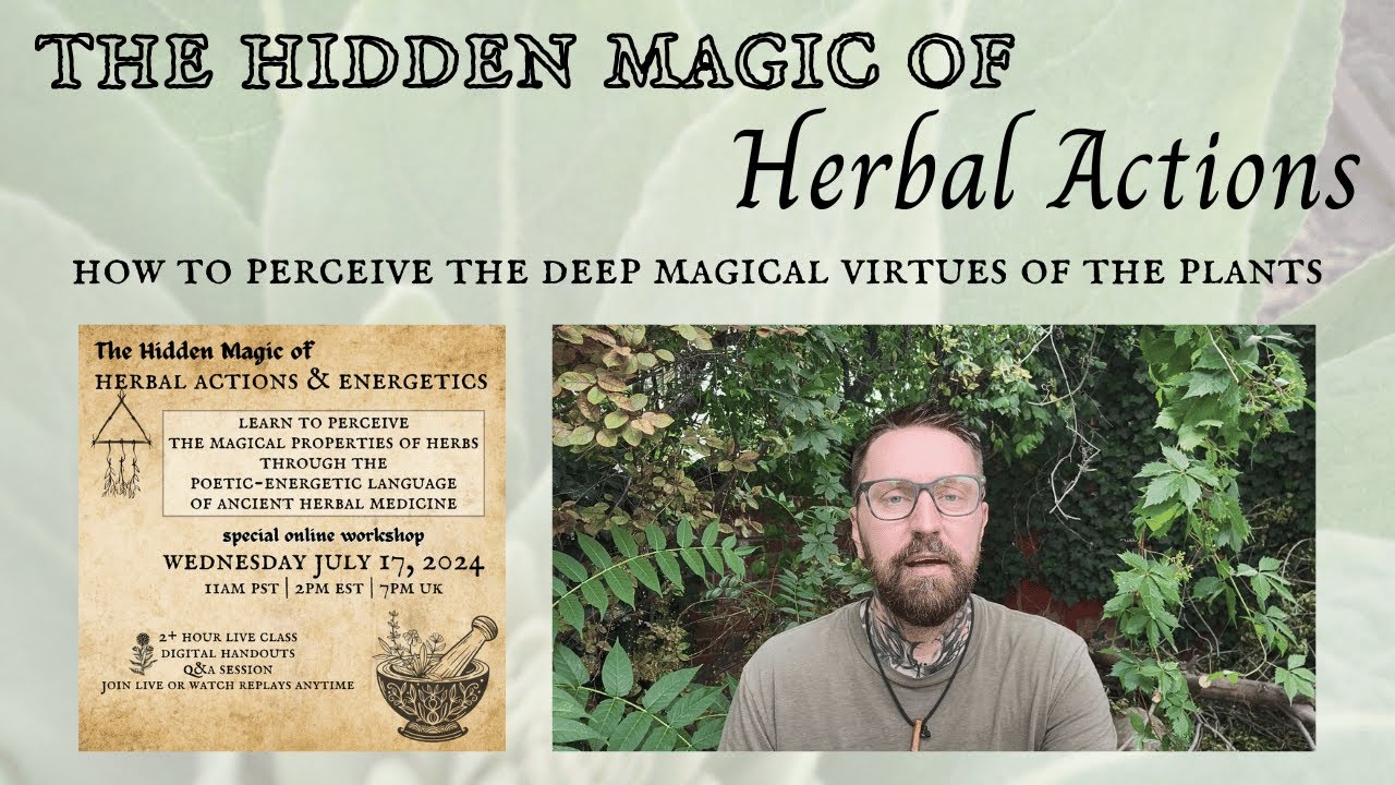 The Hidden Magic of Herbal Actions - How to Perceive the Magical ...