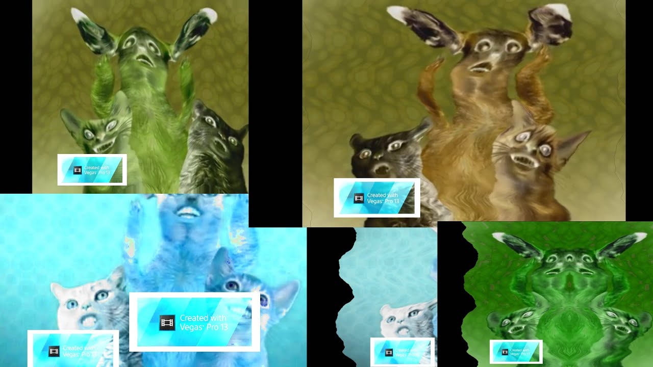 Numa Cat Effects (Compilation #1) - YouTube