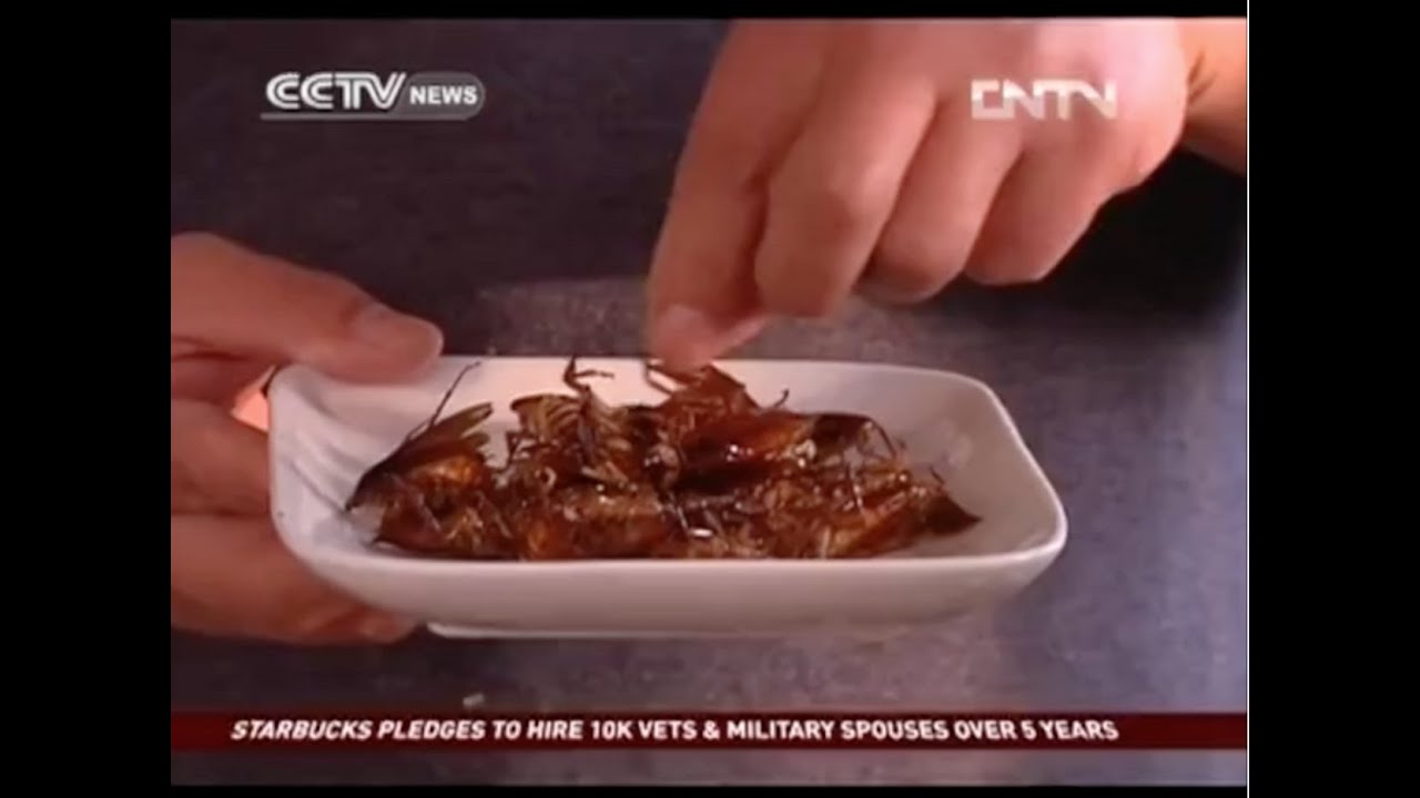In China, cockroach farmers are cashing in on creepy critters - YouTube