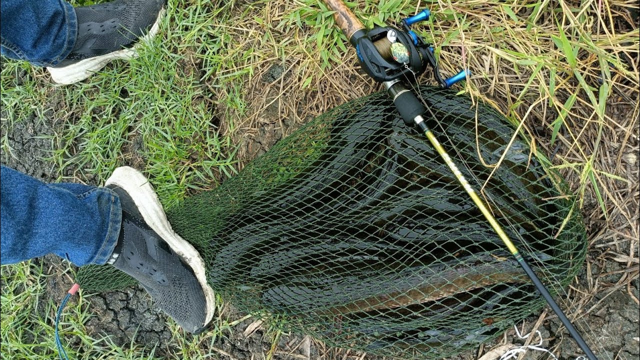 tes rell BC SHIMANO SLX DC 151XG. - YouTube