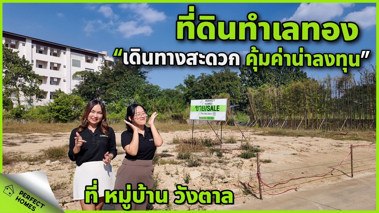 ขายที่ดินเชียงใหม่ 386.30 ตร.ว.ในหมู่บ้านวังตาล ทำเลเยี่ยม ราคาเพียง ...