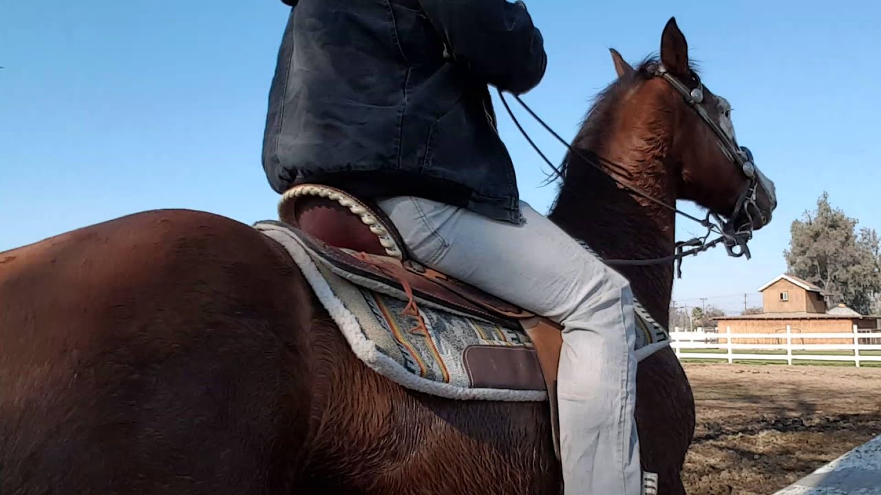 El INDIO ...Azteca Horse - YouTube
