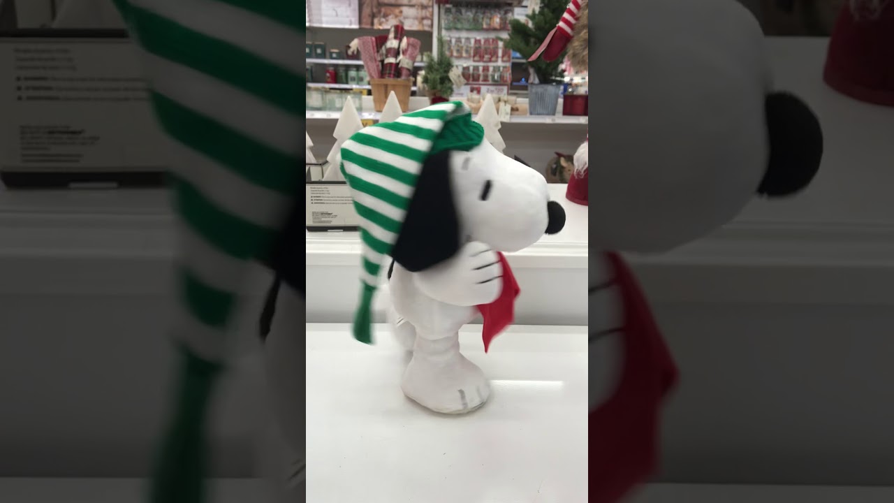 Snoopy skating - YouTube