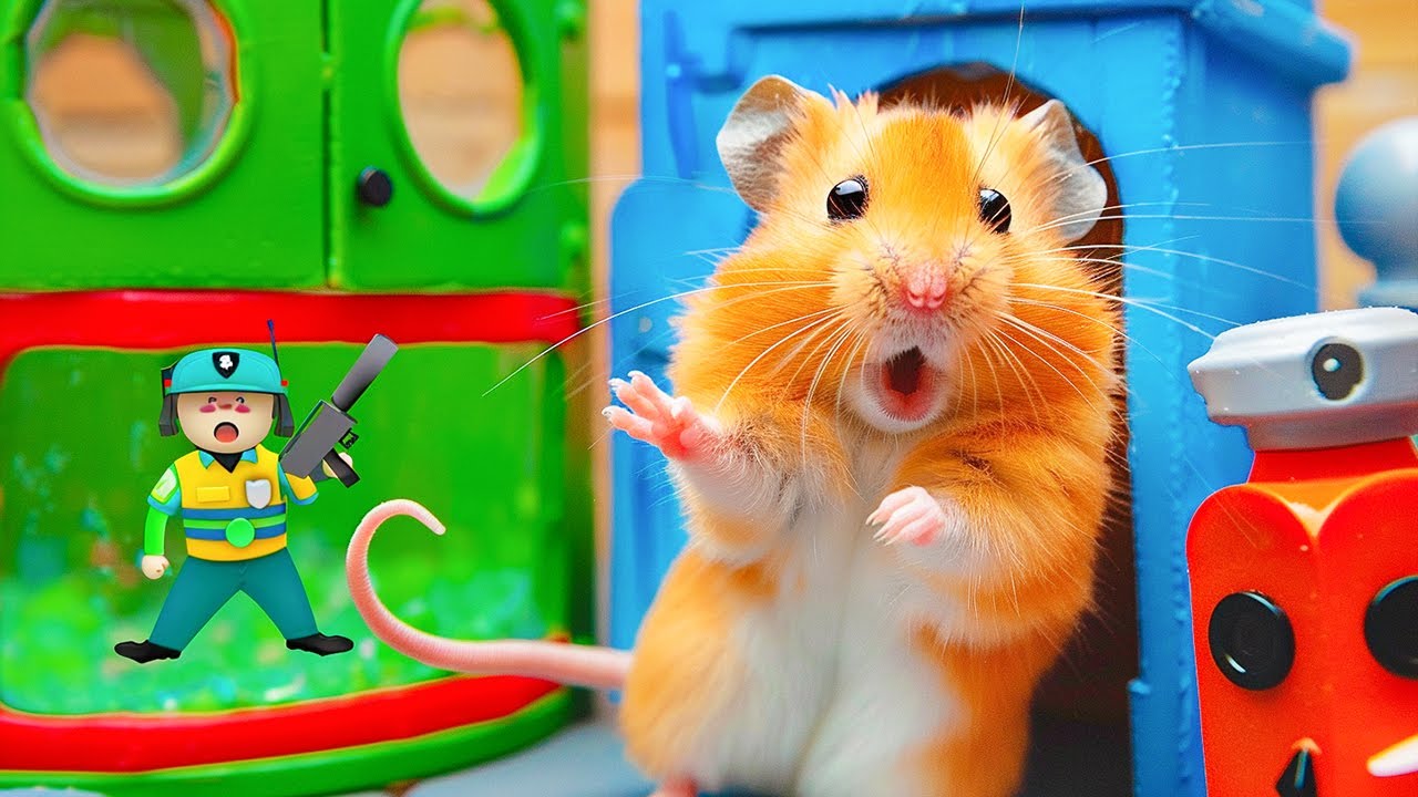 Amazing Hamster Uses Rainbow Bridge to Escape Complex Maze 🐹 Hamster ...