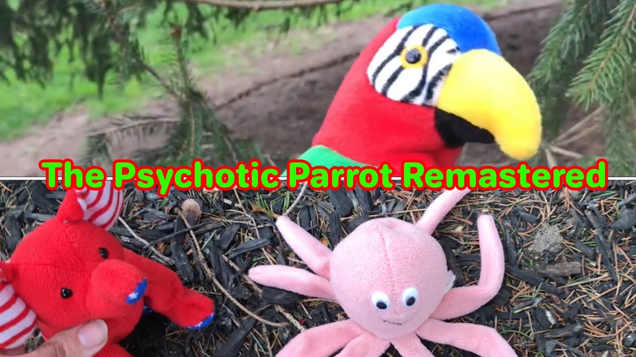 The Psychotic Parrot Remastered - YouTube