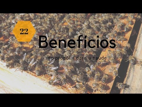 22 Benefícios do Própolis para a sua Saúde