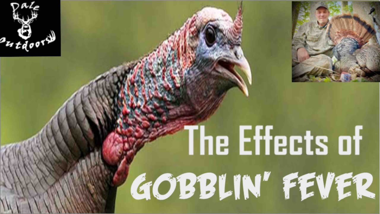 TURKEY HUNTING And The Effects of Gobblin" Fever - YouTube
