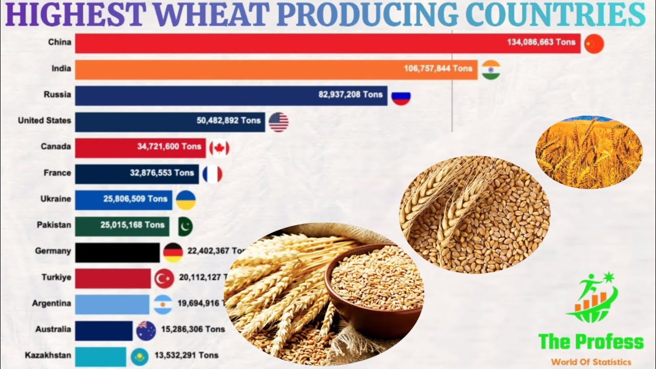 Countries With Highest Wheat Exports | Most Wheat Producers - YouTube