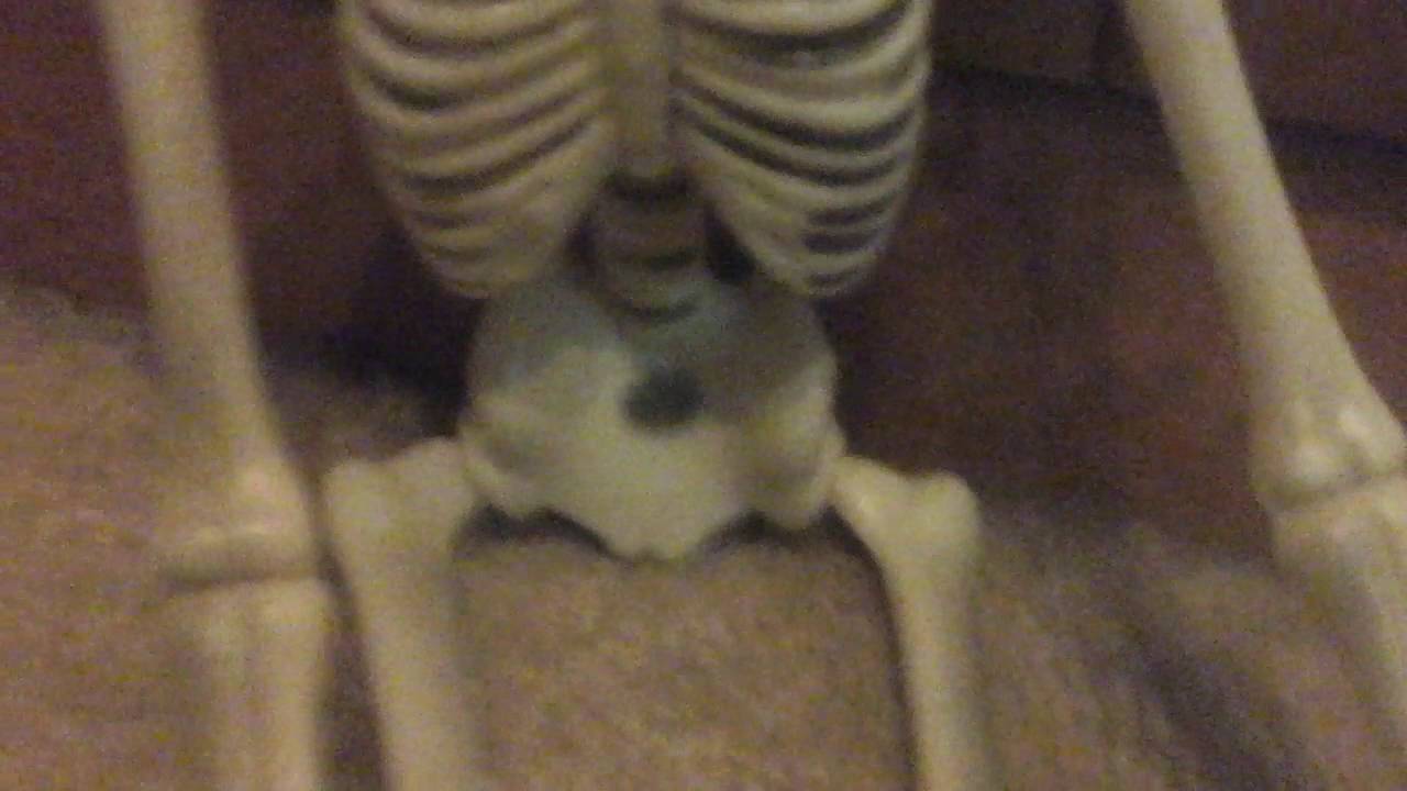 Spooky scary skeletons toy - YouTube