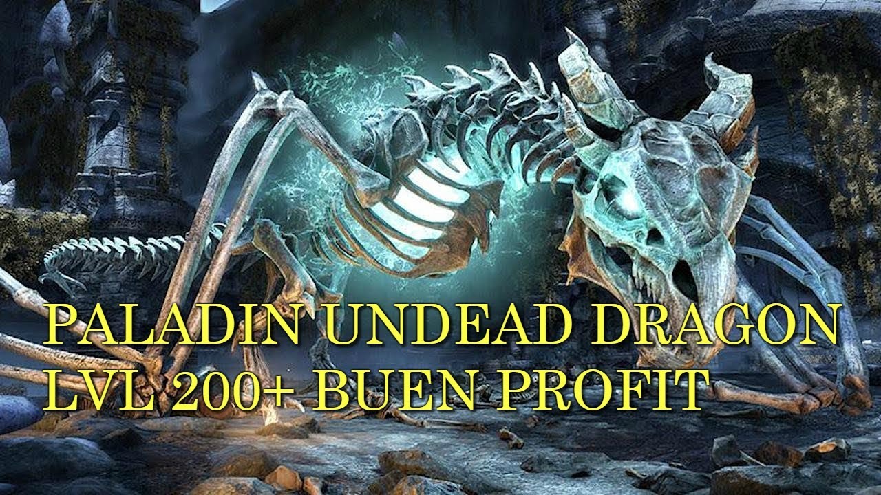 Tibia Paladin Hunt lvl 200+ Buen Loot - YouTube