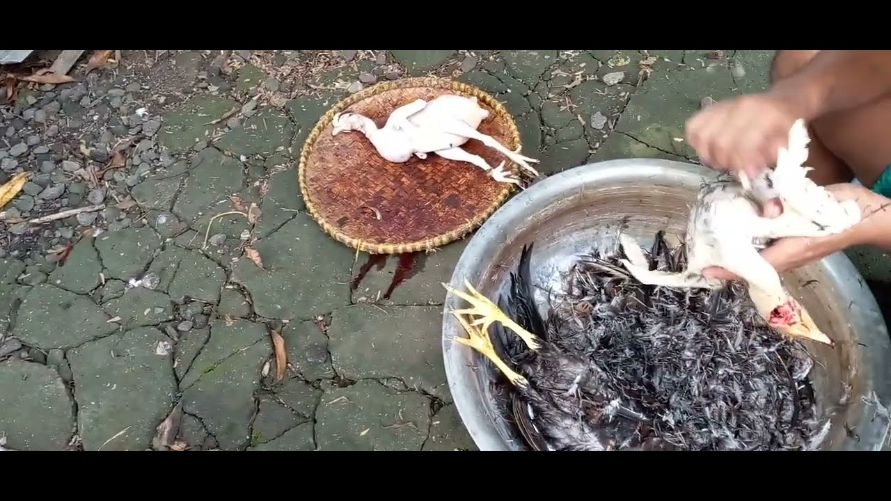 PREPARATION | SIMPLE BIRTHDAY CELEBRATION | Native Chicken Adobo sa ...