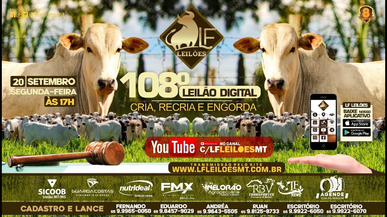 108º Leilão Digital da LF Leilões 20 09 2021 17:00 horas. Ao Vivo ...