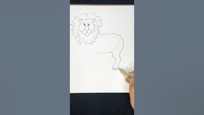 how to draw a lion mane step by step