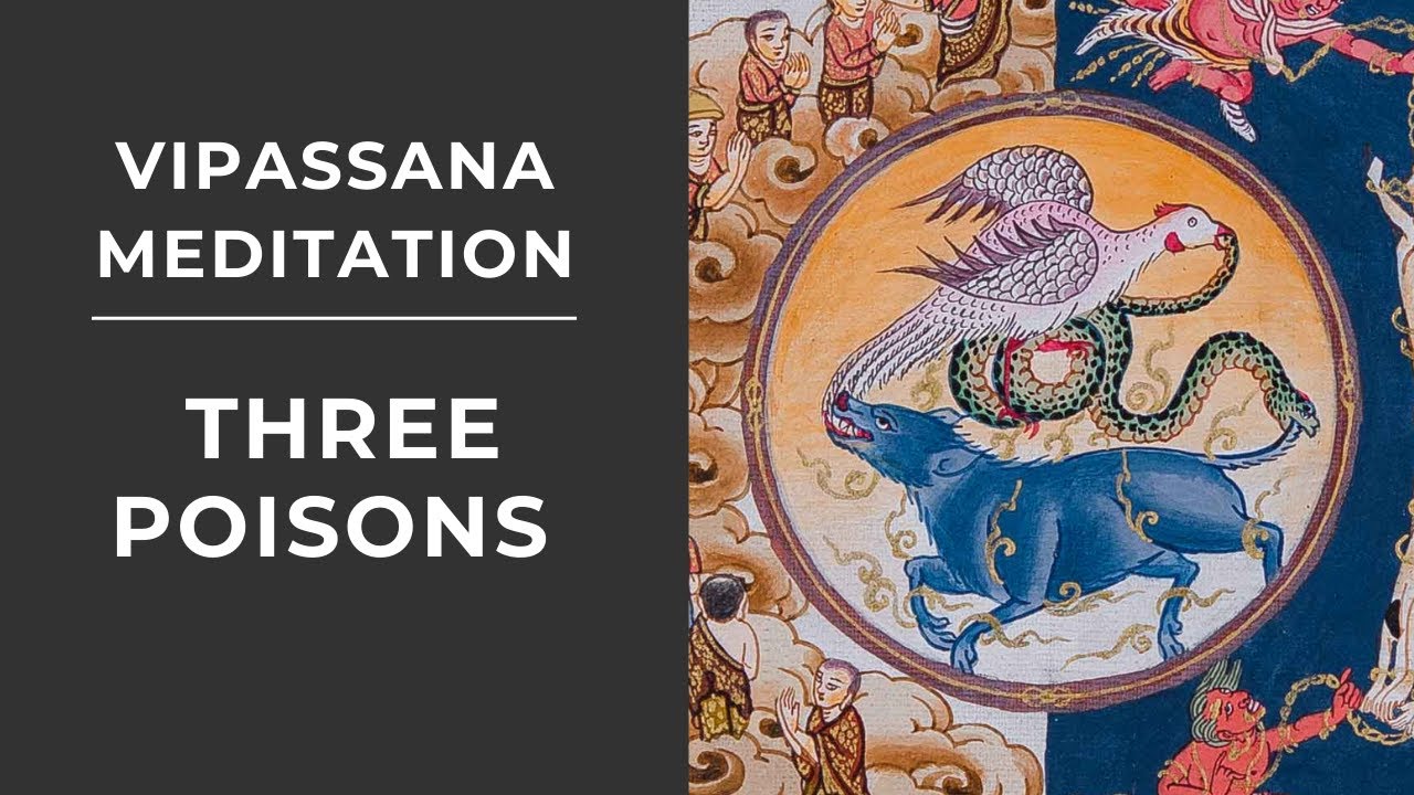 Three Poisons | Vipassana Meditation | S.N. Goenka - YouTube