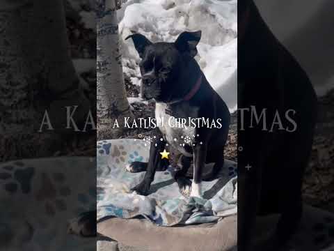 WindyGirk Mery christmas coming soon⭐️🎄💕‼️ #WindyGirk #katlispi #youtubeshorts  @WindyGirkTV