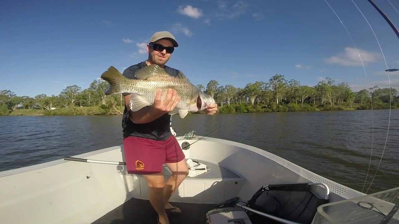 Calliope River Barra - YouTube