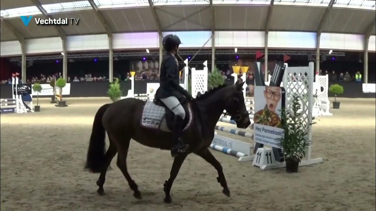 Paard Balkbrug 2022 - YouTube
