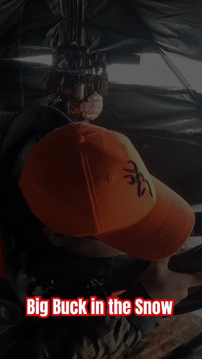 Big Buck in the Snow. #shorts #deer #wildlife #deerhunting #deerseason ...