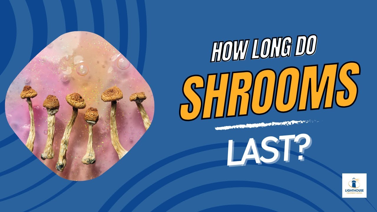 How Long Do Shrooms Last? - YouTube