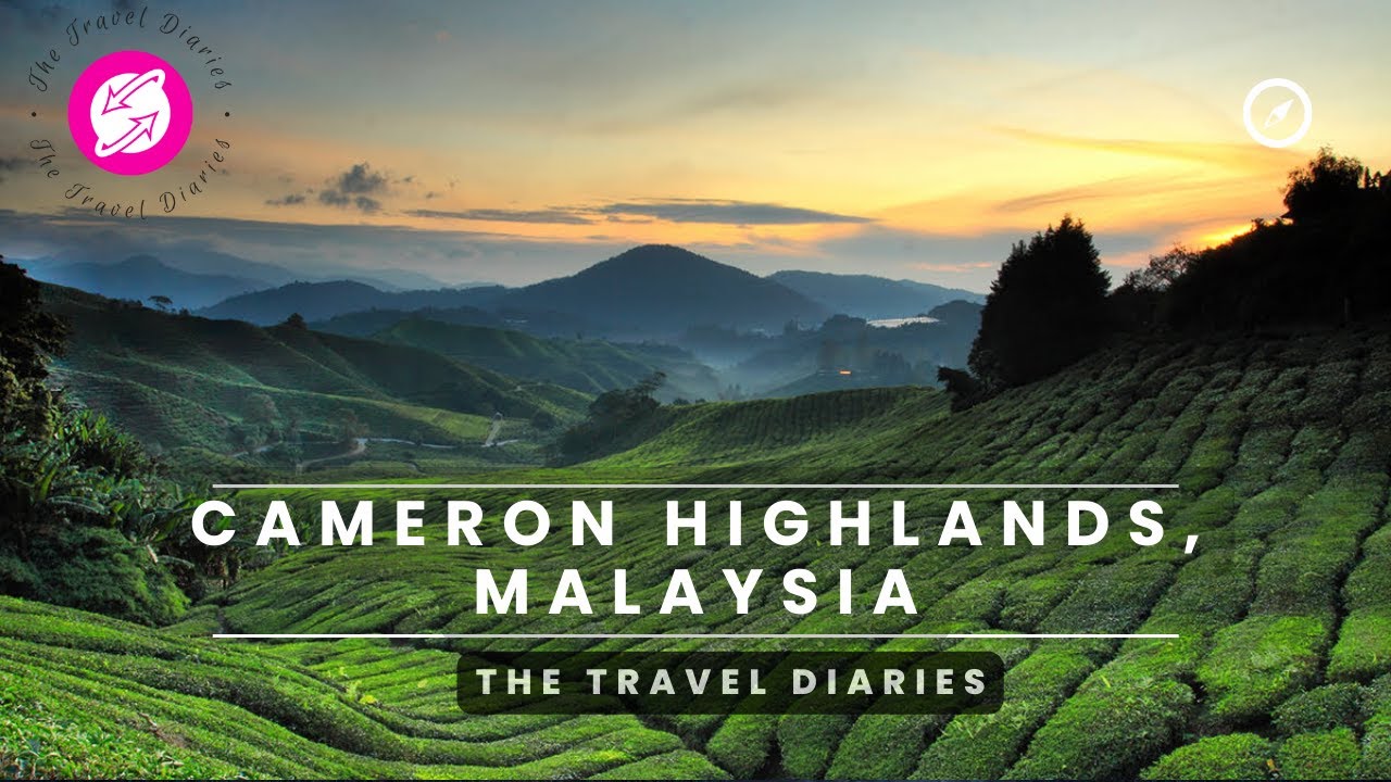 Exploring the Enchanting Cameron Highlands, Malaysia 🌿🍃 - YouTube