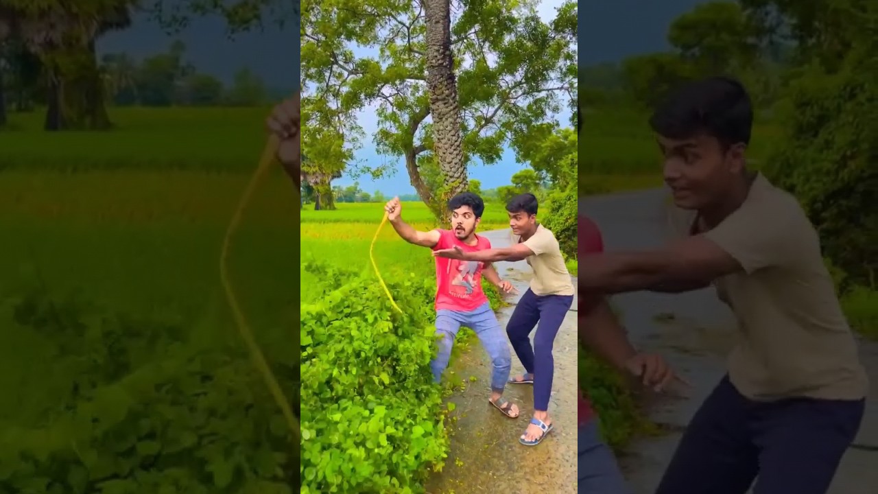 vai ne snake pakar liya🤣🤣🤣#funny #viral #trending #shorts - YouTube