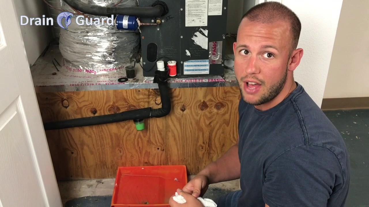 Drainguard Replacement Cartridge - YouTube