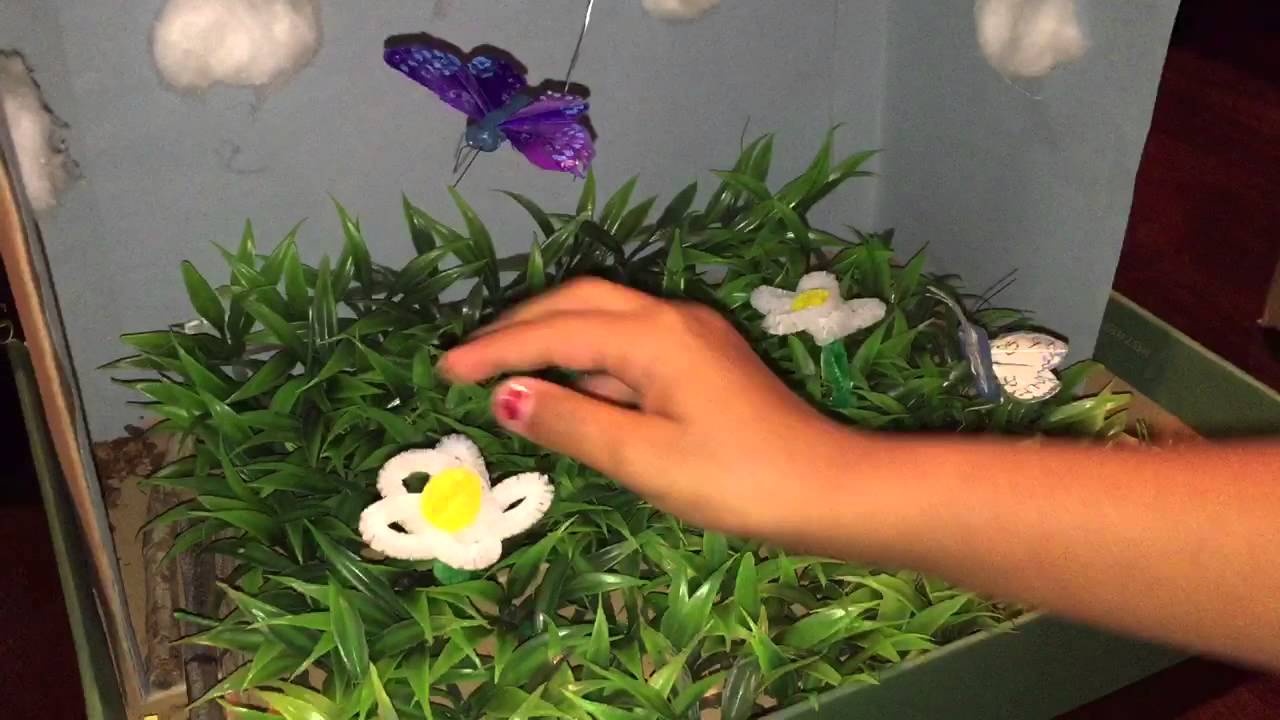 Lexi's 1st grade animal project - YouTube