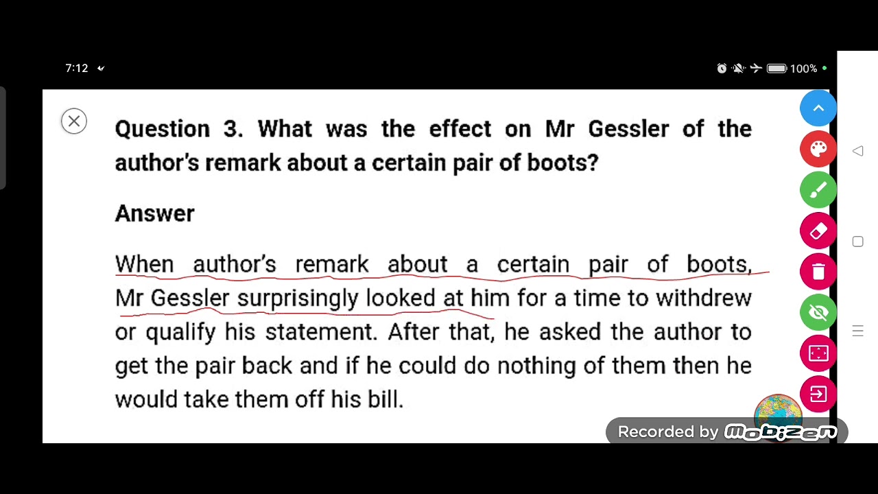 What was the effect on Mr Gessler of the author's remark about a ...