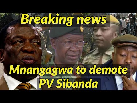 Mnangagwa to demote PV Sibanda - it's end in tears - PV Sibanda don't ...