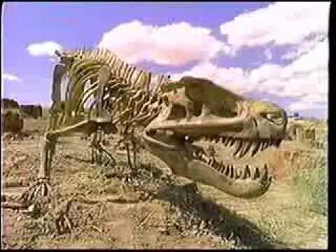 THE DINOSAURS The Nature of the Beast 3 of 4 - YouTube