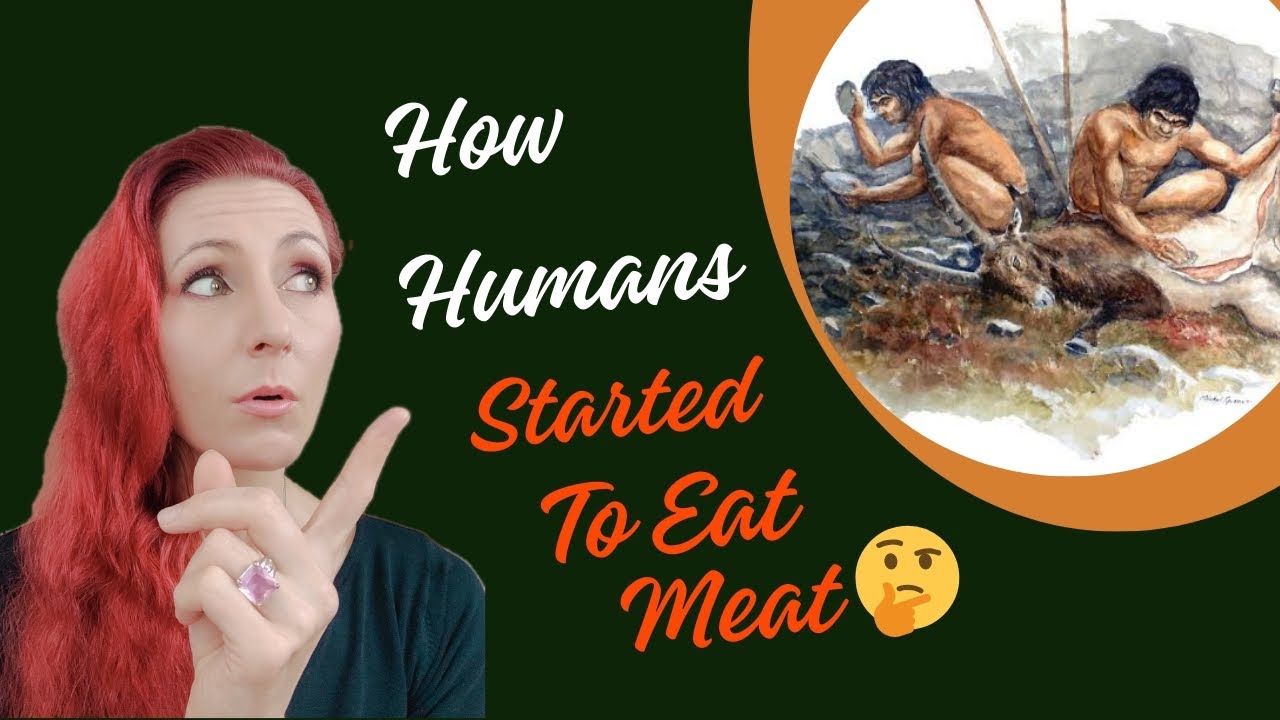 How humans started to eat meat🤔 - YouTube