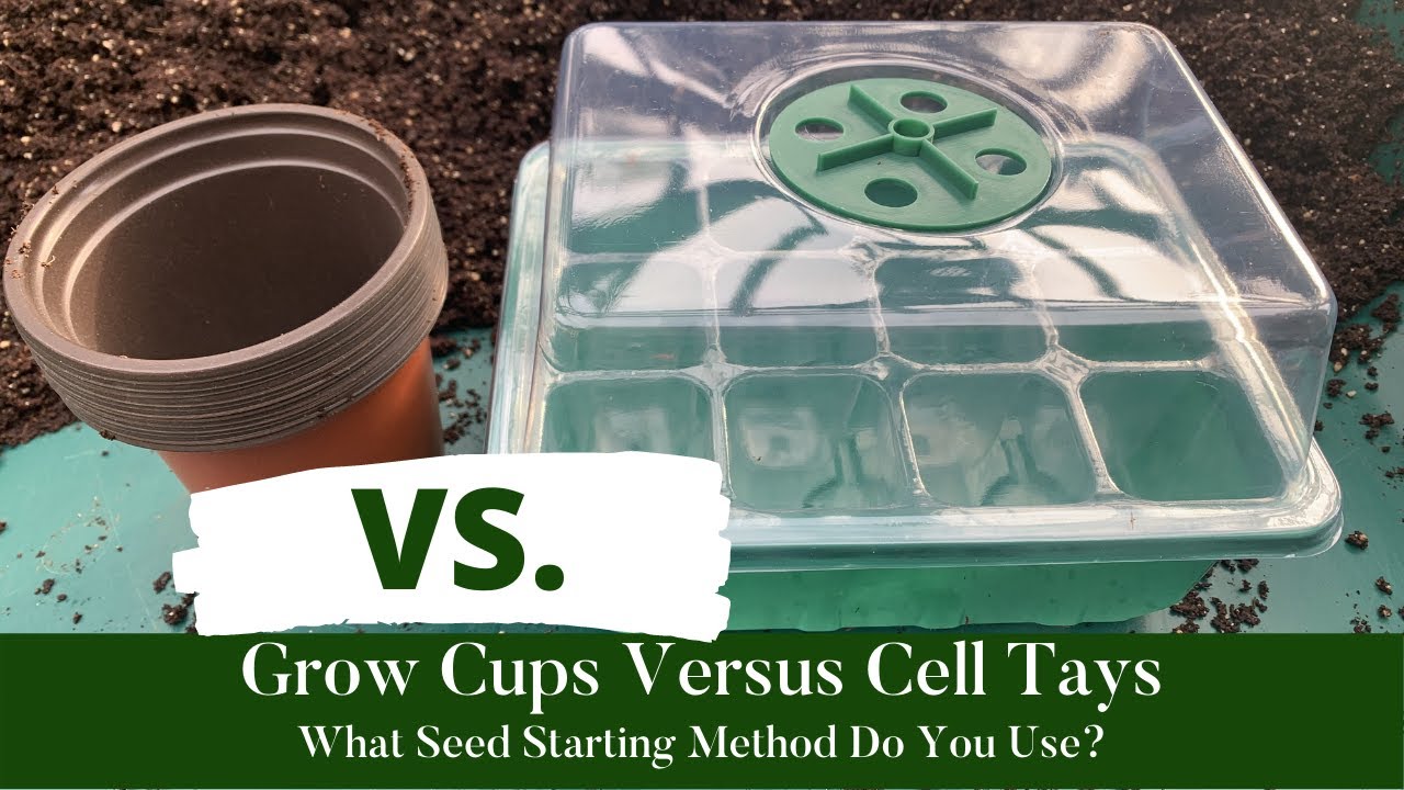 Seed Starting Methods| Seed Cups vs. Cell Trays - YouTube