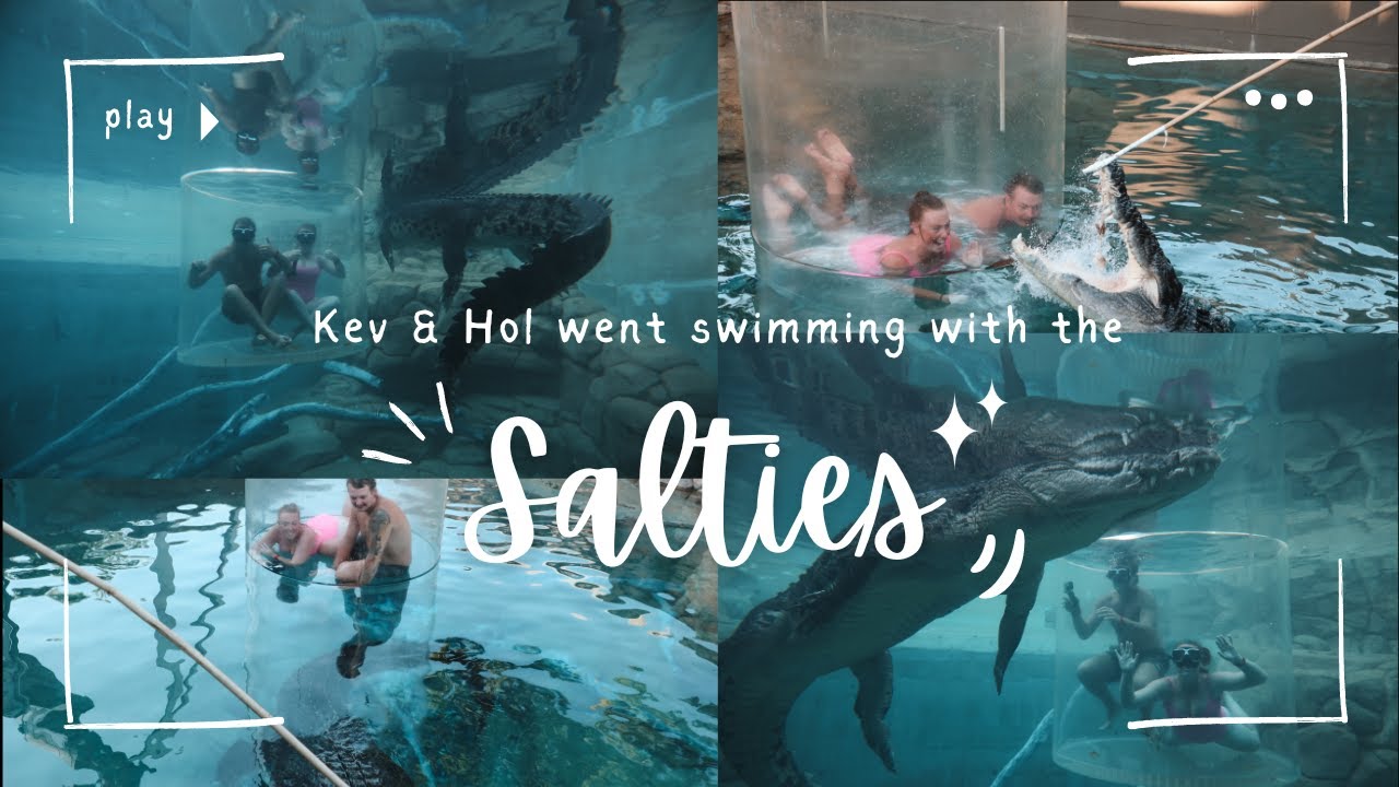 We went swimming with a 5.5m SALT WATER CROC!!!! 🐊🐊🐊 - YouTube