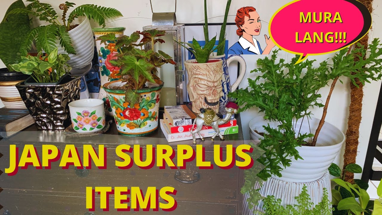 Japan Surplus Items😮Murang used items😊Japan Surplus sa Dasma. - YouTube