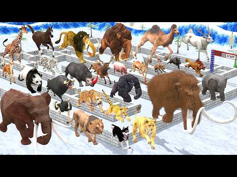 Maze Madness Race 24 Wild Animals, Which is the Fastest Animal Animal Revolt Battle Simulator