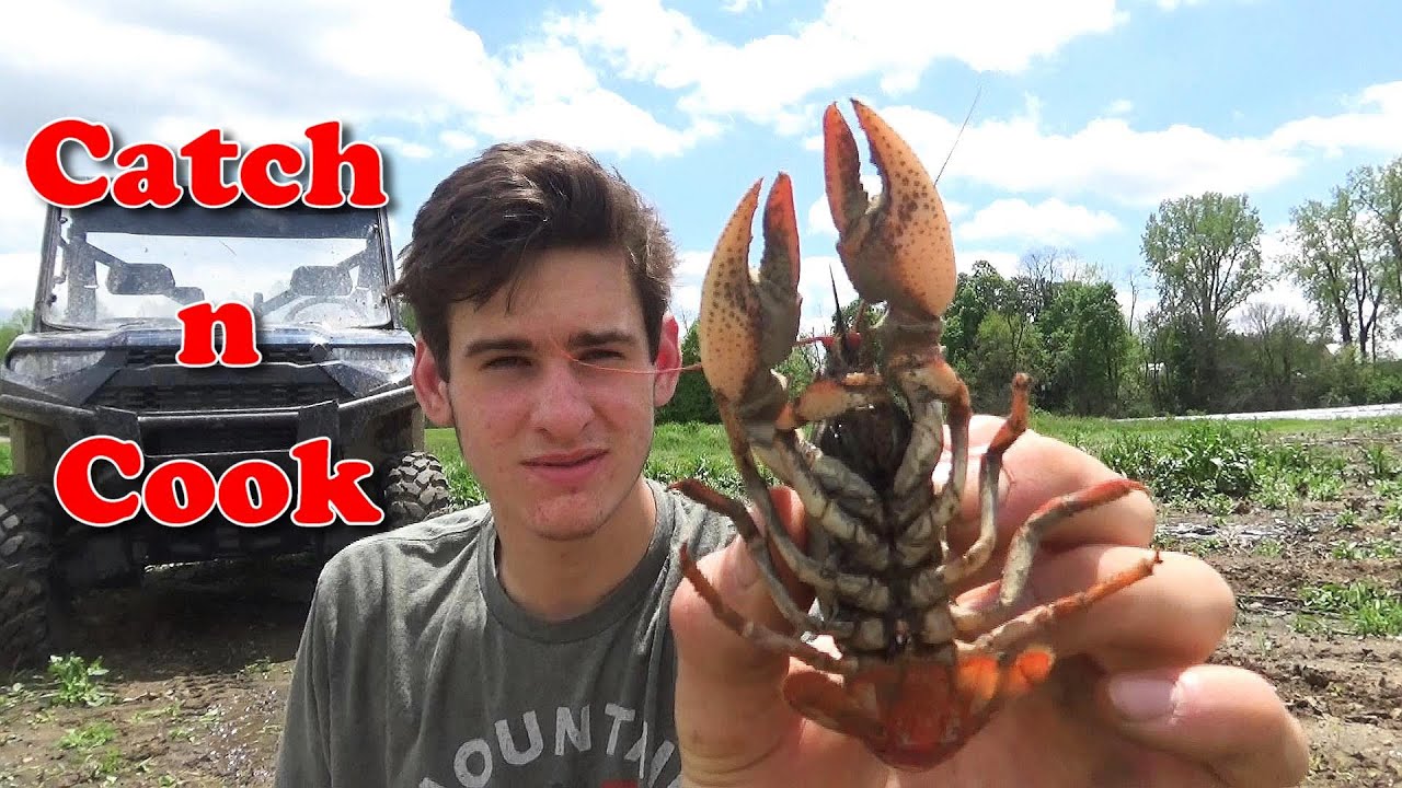 Crawfish Catch and Cook | Trapping, Hunting and Boiling Crawfish - YouTube
