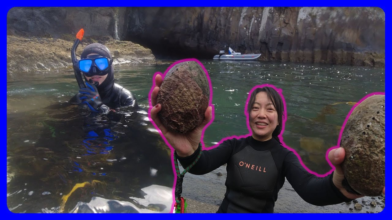 Asian girl's FIRST TIME Abalone dive 🦪 (Akaroa paua) - YouTube