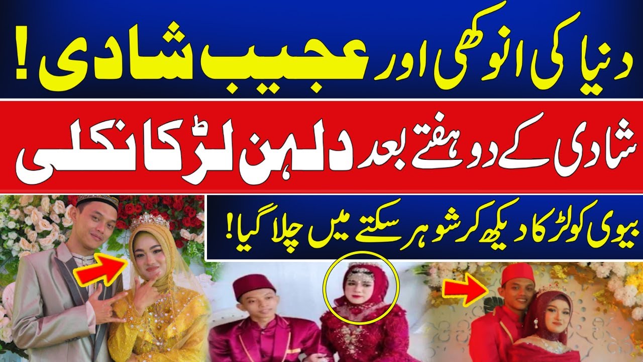 World's unique and strange wedding! | Two weeks after the wedding the ...