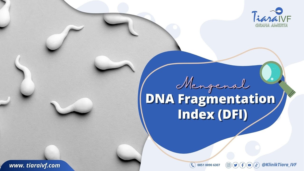 Mengenal apa itu DNA Fragmentation Index (DFI) - YouTube