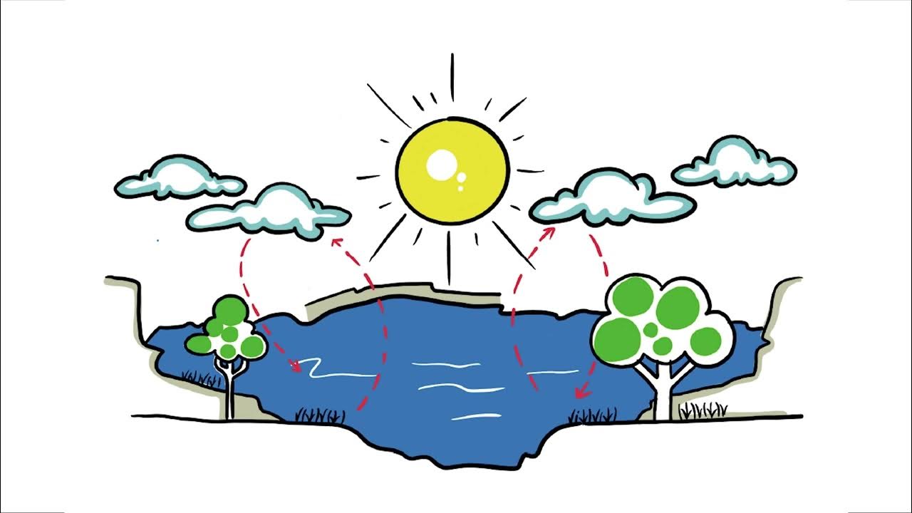 ВИДЕО 10 Наука Тема 7 Кружење на водата во природата Youtube