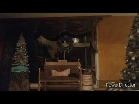 The dog leash (official trailer) milanmarie