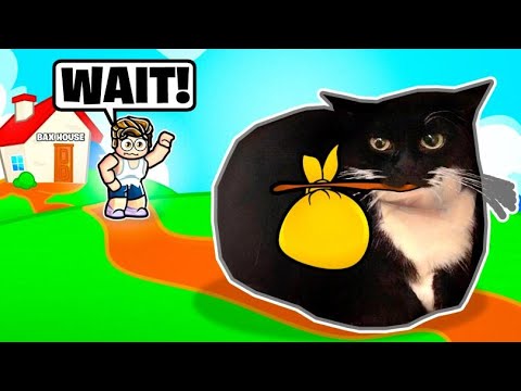 I made Maxwell the cat RAGE QUIT! - YouTube
