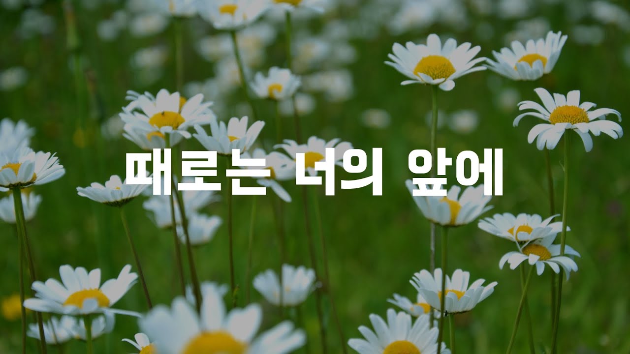 Ccm 축복송 때로는 너의 앞에 클라리넷 찬양 연주 A Blessing Song Playing The Clarinet