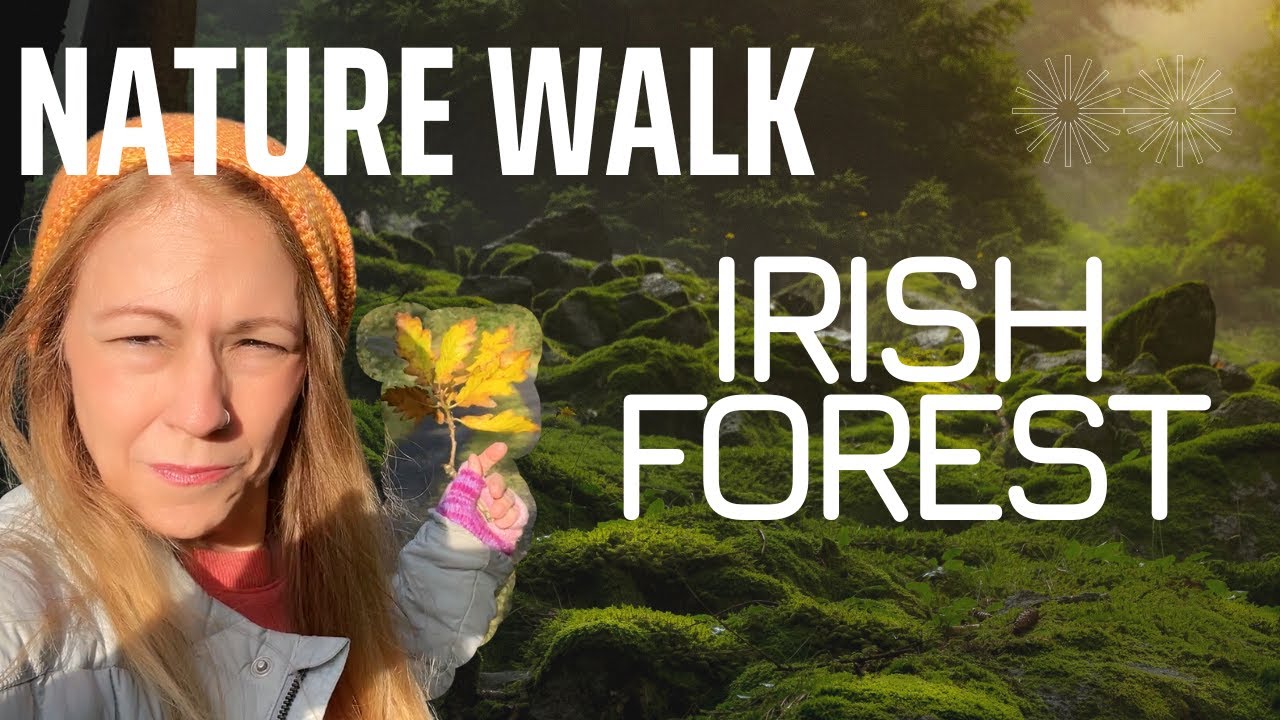 Irish Forest Walk In Kildare - YouTube