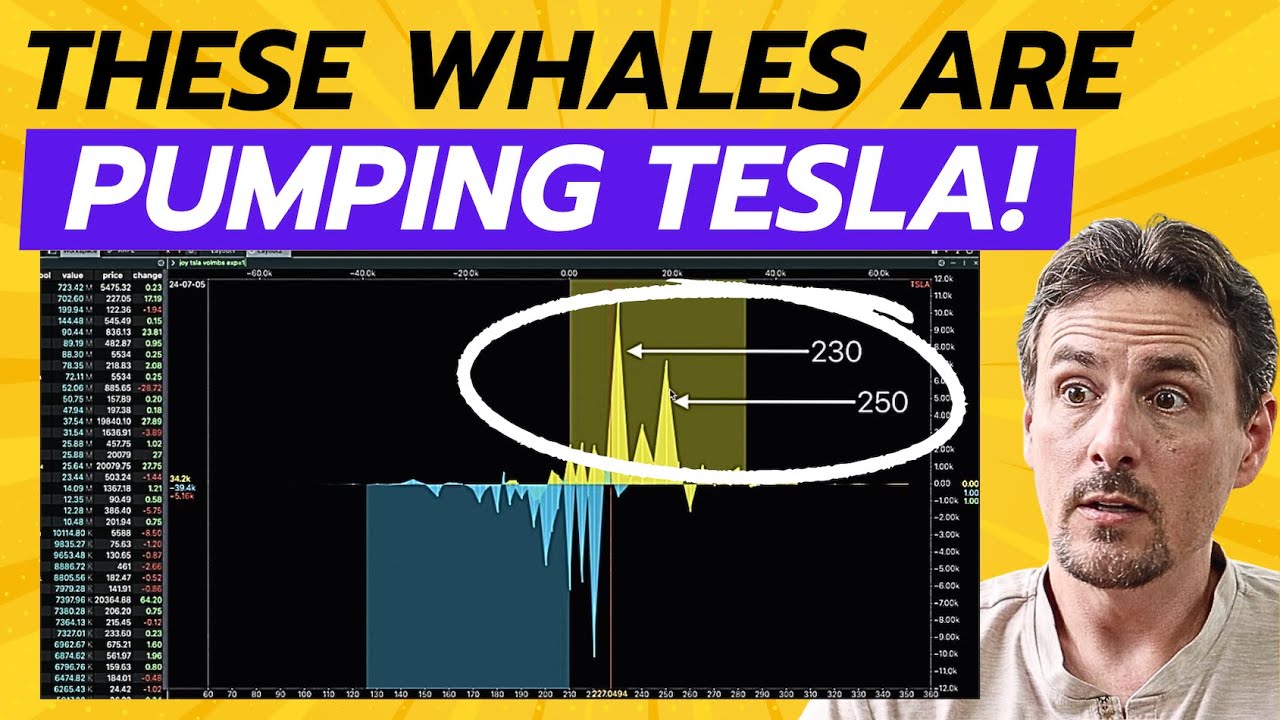 BIG MONEY Loaded Up On These 5 Stocks, Plus 4 Reasons Tesla Is ...
