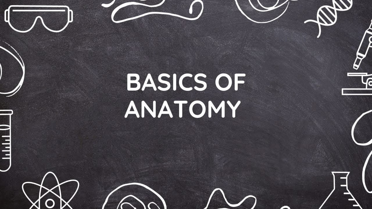 Basics of Anatomy | simplified | BD Chaurasia | Medicine | MBBS class ...
