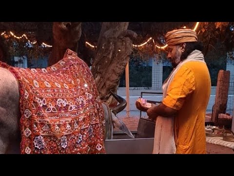 pathmeda gaushala Sanchore - YouTube